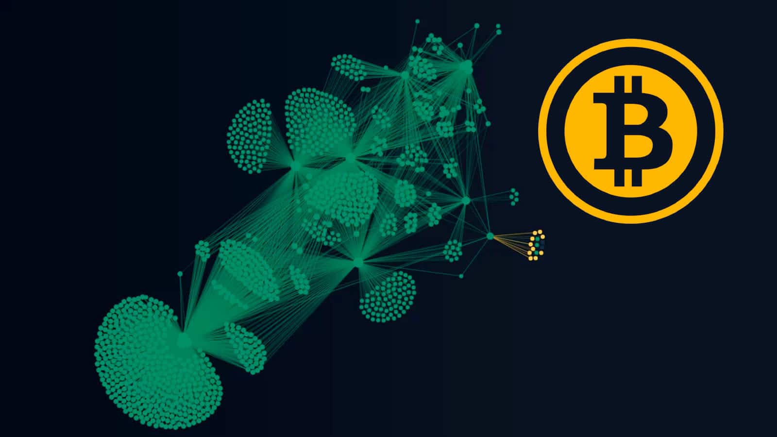 Bitcoin Scam Wie Das Netzwerk Mit über 10 000 Betrügerischen Seiten